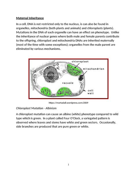 9 Maternal Inheritance Maternal Inheritance In A Cell Dna Is Not Restricted Only To The
