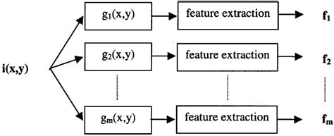 Multi Channel Filtering Strategy Download Scientific Diagram