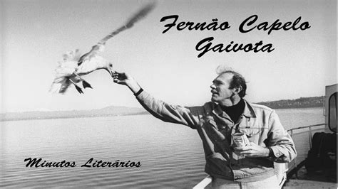 Fernao Capelo Gaivota Quotes Scenecup