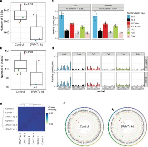 Mutational Impact Of Global Dna Methylation Loss A Box Plot With The