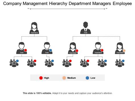 Company Management Hierarchy Department Managers Employee Presentation PowerPoint Images