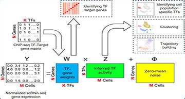 Machine Learning Algorithm Predicts How Genes Are Regulated In Individual Cells RNA Seq Blog
