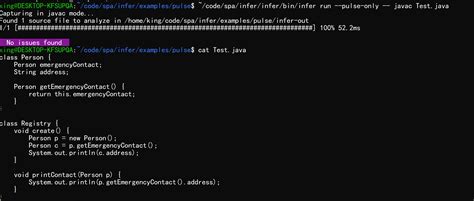 pulse nullptr dereference false negative when run the java example in