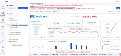 Analysis Subject Overview Finebi Document