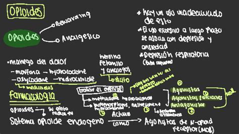 Farmacos Opioides Y Analgésicos Efectos Y Consideraciones Clínicas