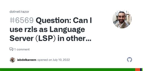 Question Can I Use Rzls As Language Server Lsp In Other Ides Like