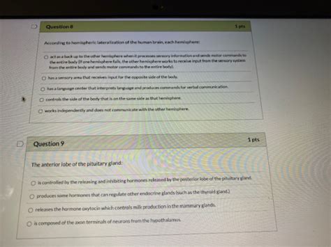 question 8 1 pts according to hemispheric lateralization of the human