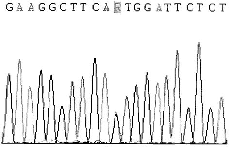 Cyp2c9 Gene Segment Comprising 1a G Coded Protein Segment And Application Thereof Eureka