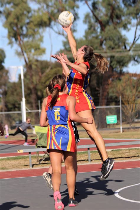 The Lions Are Flying Seymour Football Netball Club