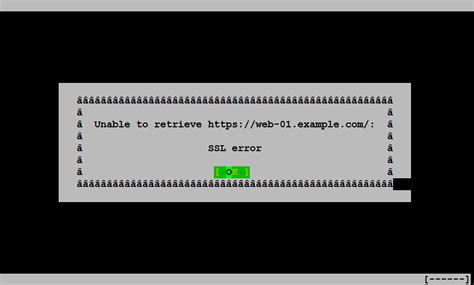 How To Setup SSL Certificate Authority In CentOS CentLinux