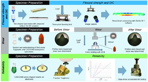 Experimental Design Representing The Workflow Adopted For The Performed