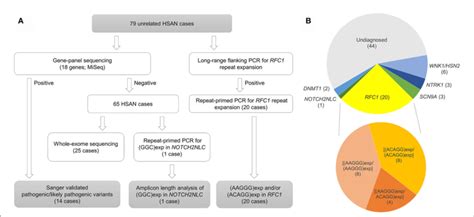 Figure E Genetic Analysis Workflow A And Proportional Piechart Of