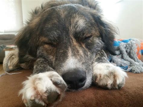 Django Diagram Quizlet