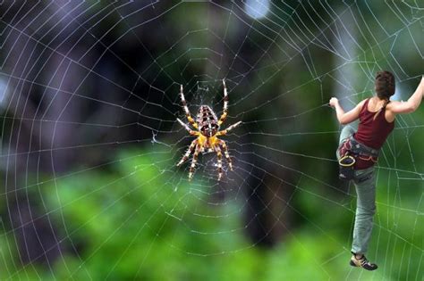 From Zero To Hero Building Your First Angularjs Web App Kmf Blogs