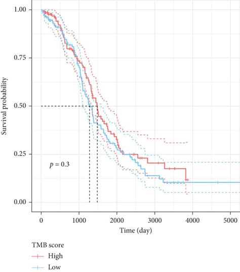 Details Of Gene Set Enrichment And Somatic Mutation Analyses Between