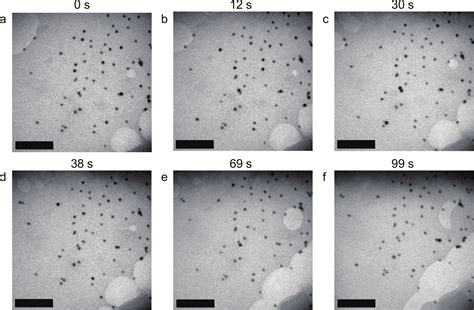 Liquid Cell Transmission Electron Microscopy For Tracking Self Assembly Of Nanoparticles