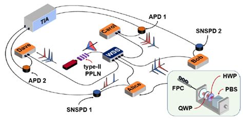 bridging realms exploring hybrid quantum classical networks and
