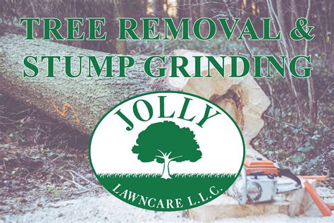 Tree Cutting Removal Columbia Missouri Trees Services Columbia MO Stump Grinding Stumps Removal