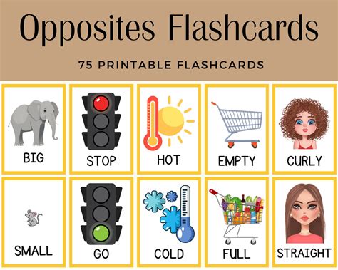 Owl Opposites Flashcards Free Printable 1111