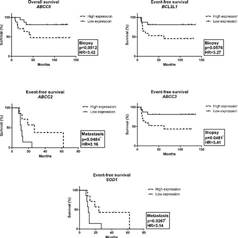Table 1 From Pharmacogenetics Of The Primary And Metastatic