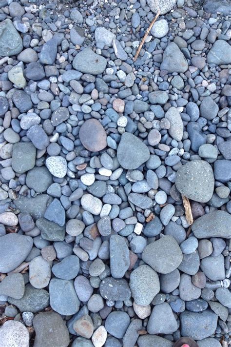 20 Beautiful Gravel Landscaping Ideas