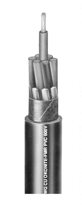 202 10 3503 Okonite Fmr Okoseal Ul Type Tc 10 Awg 3 Conductors