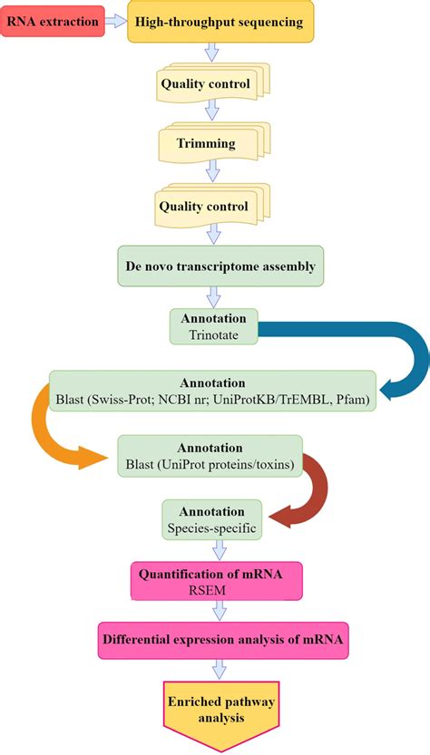 Overview Of Experimental And Computational Analyzing Workflow Briefly Download Scientific