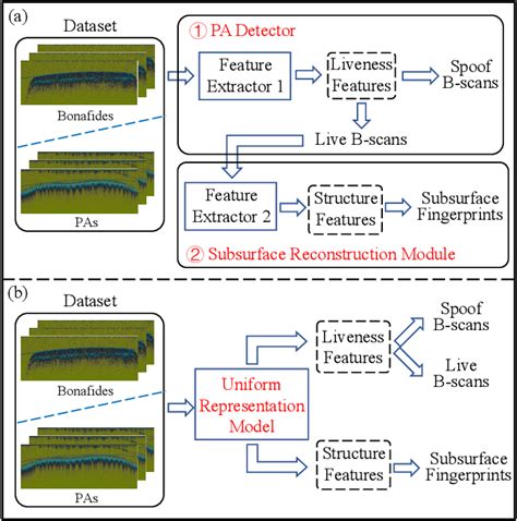 A Uniform Representation Learning Method For Oct Based Fingerprint Presentation Attack Detection
