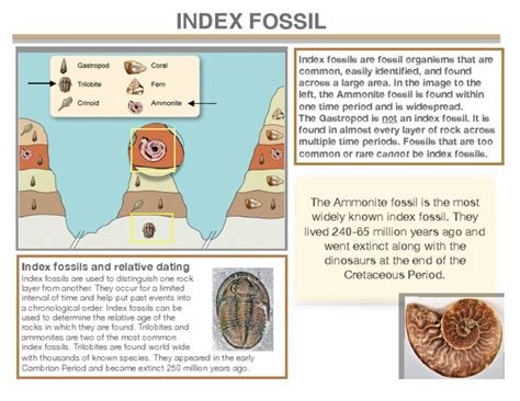 Index Fossils