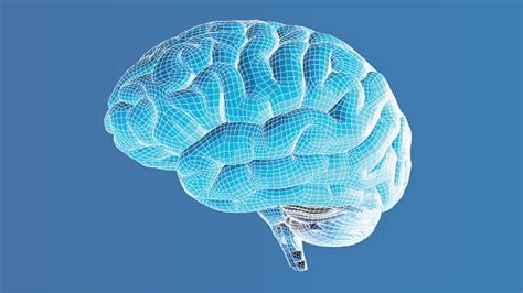 3d 와이어 프레임 뇌 블루 Bg에 빛나는 홀로그램에 대한 스톡 벡터 아트 및 기타 이미지 홀로그램 3차원 형태 개념과
