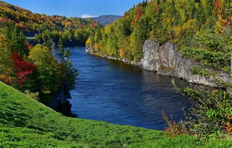 Wallpaper Autumn Forest River Rocks Canada Canada Humber River