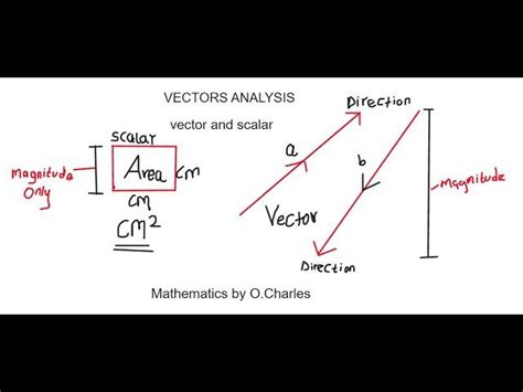Ochieng Charles On Linkedin How To Differentiate Vector And A Scalar Vectors Analysis
