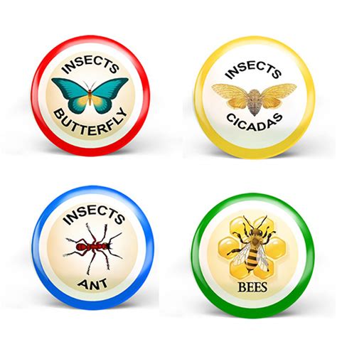 Insects Specific Badge Curiosity Untamed Store
