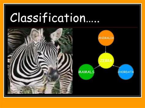 Ppt Fascinating Facts About Zebras Unique Stripes And Habitat Powerpoint Presentation Id