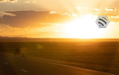 ИХЭНХ НУТГААР ААГИМ ХАЛУУН ӨДРҮҮД ҮРГЭЛЖИЛНЭ