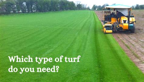 How To Choose Which Type Of Turf You Need For Your Garden