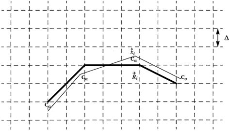 Building Of A Lattice Model Of A Protein Molecule A Twodimensional