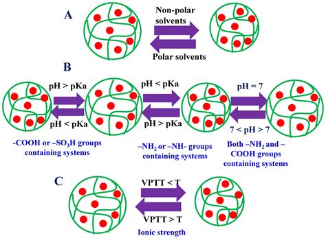 Polymers Free Full Text A Critical Review Of Palladium Nanoparticles Decorated In Smart