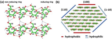 Figure 1 From Cellulose Based Functional Materials For Sensing Semantic Scholar