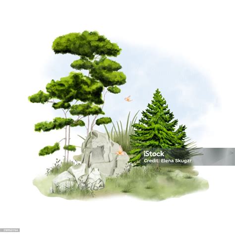 키 큰 소나무 근처의 회색 바위 조각과 근처에 흩어져있는 작은 돌 수채화 디지털 일러스트레이션 푹신한 전나무 에 에 초원 고립된 통하고 있는 백색 배경 밝은 나비와 풀 0
