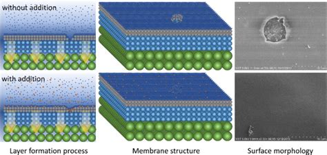 Supposed Effect Of Nanoparticles On The Defect Patching Process Of