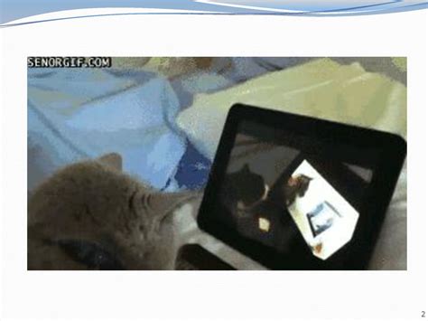 Building Java Programs Ppt Download