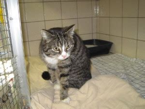 Steffi Verm Tierheim Moers