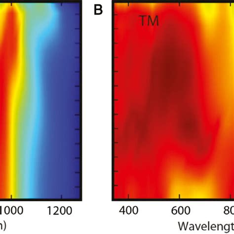 Calculated Absorption In Dbr Nw Arrays Versus Wavelength And Angle Of Download Scientific
