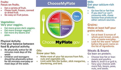 Myplate What A Healthy Meal Looks Like Nutrition Nutrition Tips
