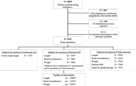 Flowchart Of The Study Population Download Scientific Diagram