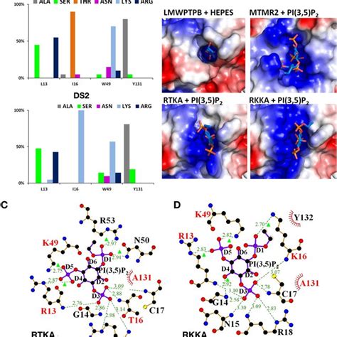 Analysis Of Mutations Introduced During Enzyme Redesign A Analysis Of Download Scientific