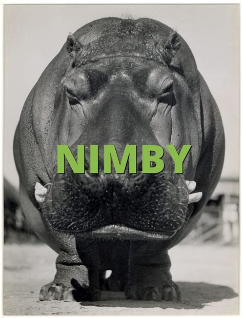 Nimby Meaning