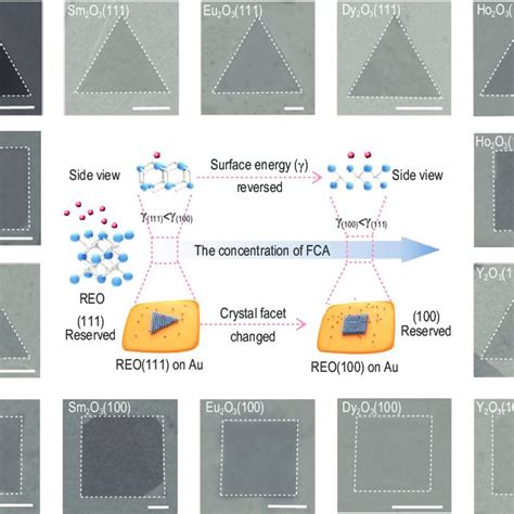 Schematic Illustration Of The Universality Of The Facet Controllable