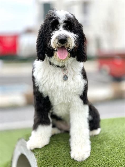 Dee O Gee Updated June 2025 52 Photos And 42 Reviews 6001 Hughes